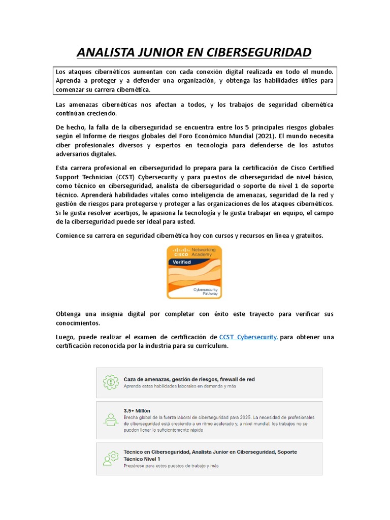 Analista Junior en Ciberseguridad | PDF