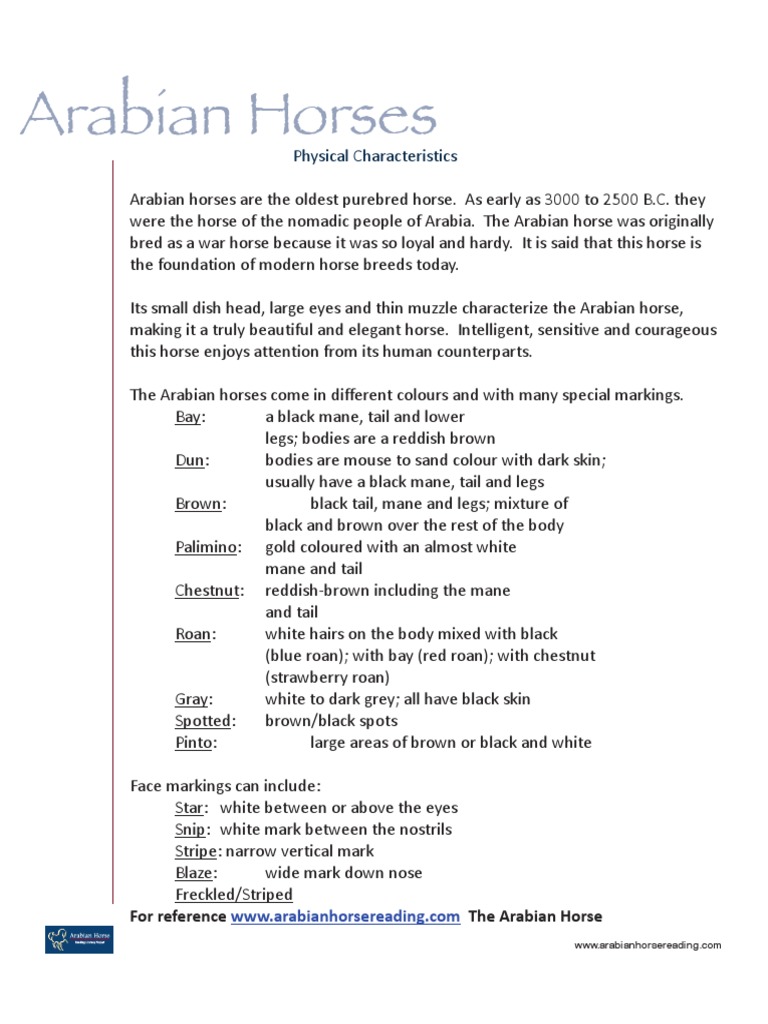 Arabian Horse Facts-Teacher Manual | PDF | Horse Gait | Horses