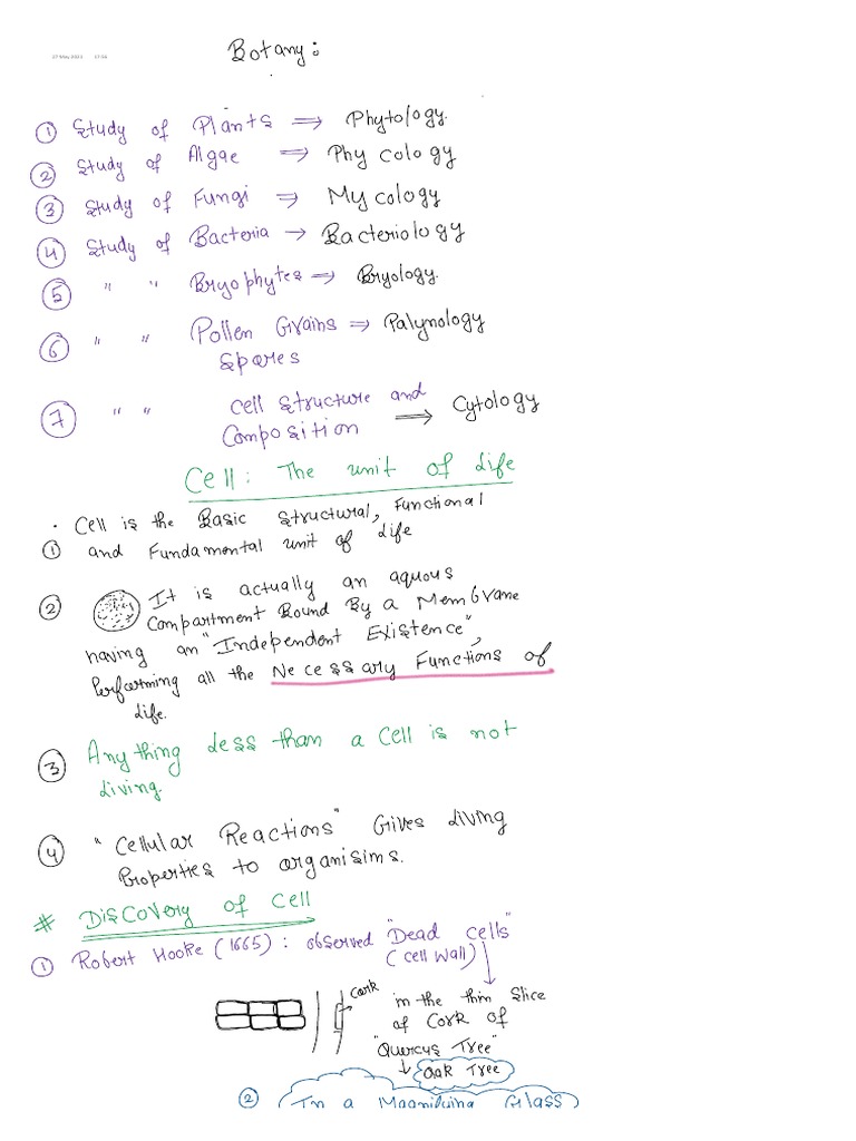 BACTERIAL CELL ENVELOPE | PDF