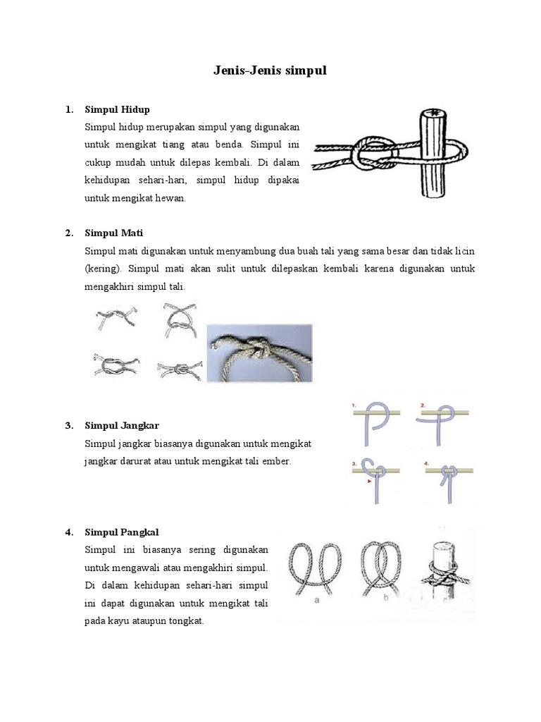 Jenis-Jenis Simpul | PDF