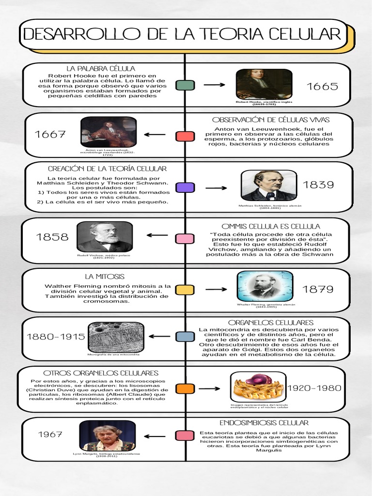Linea de Tiempo: Teoría Celular | PDF | Biología Celular) | Anatomía ...