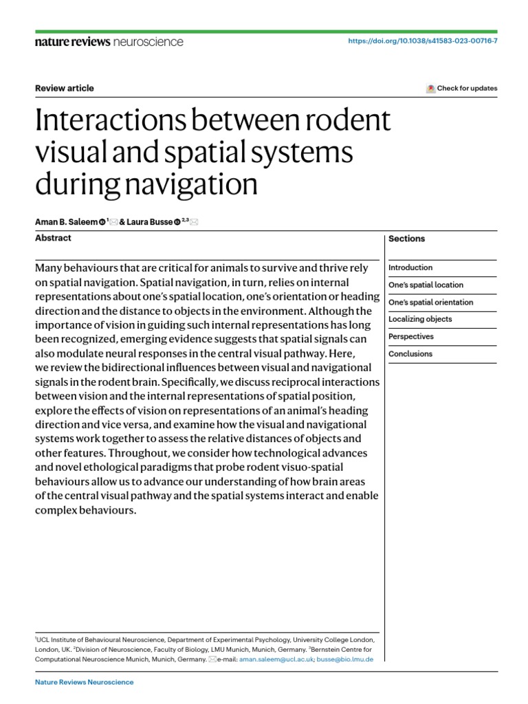 Interactions Between Rodent Visual and Spatial Systems During Navigation | PDF | Visual Cortex ...