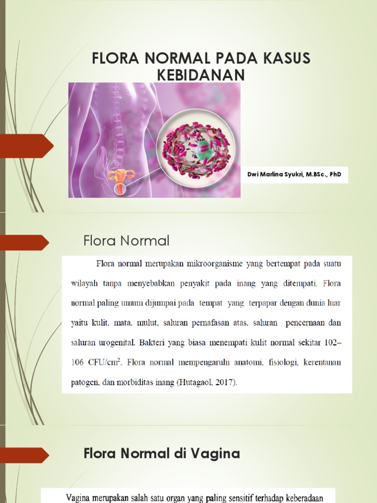 Flora Normal Pada Kasus Kebidanan | PDF
