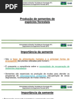 Sementes Recalcitrantes e Ortodoxas | PDF | Semente | Umidade
