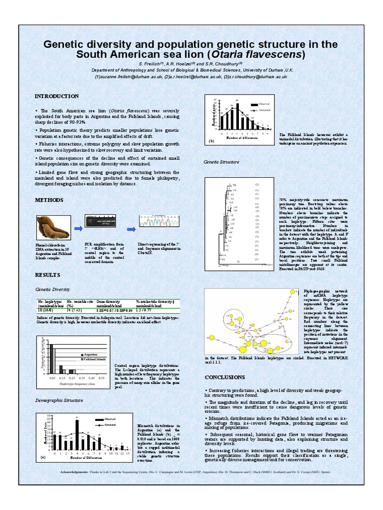 Genetic Diversity in South American Sea Lions | PDF | Haplotype | Genetics