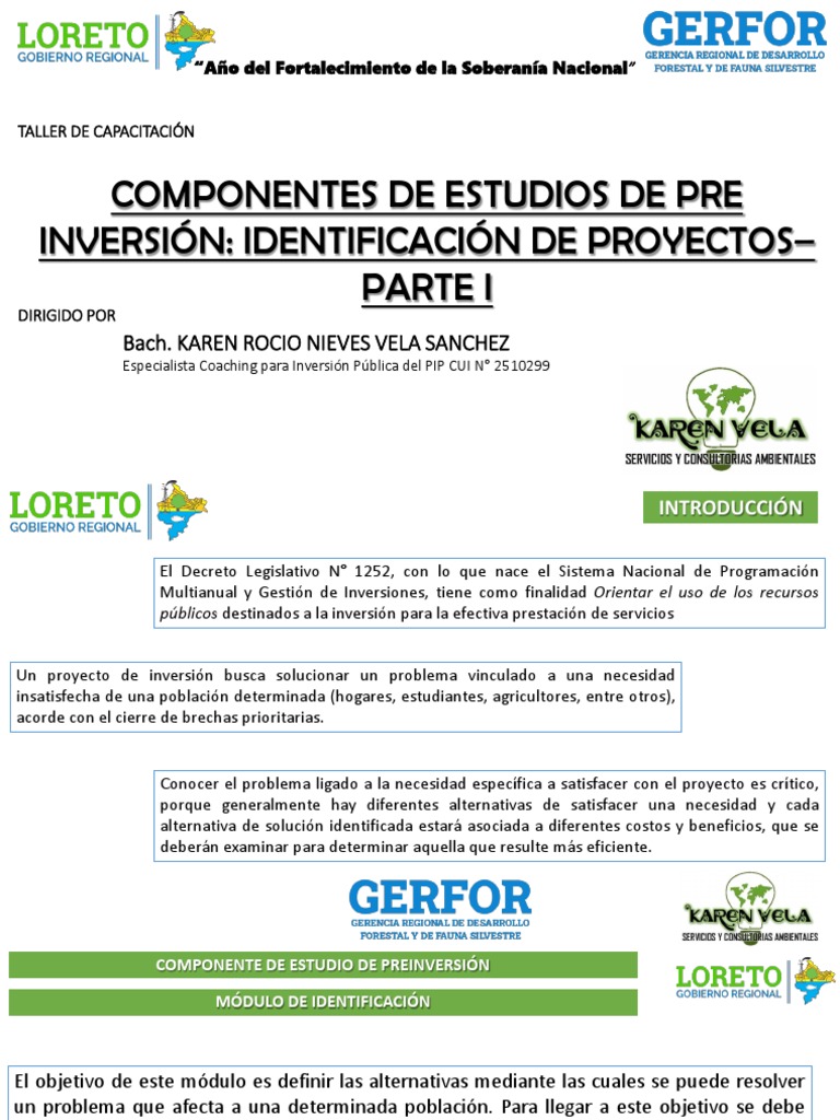 componentes de estudios de preinversión | PDF | Infraestructura ...