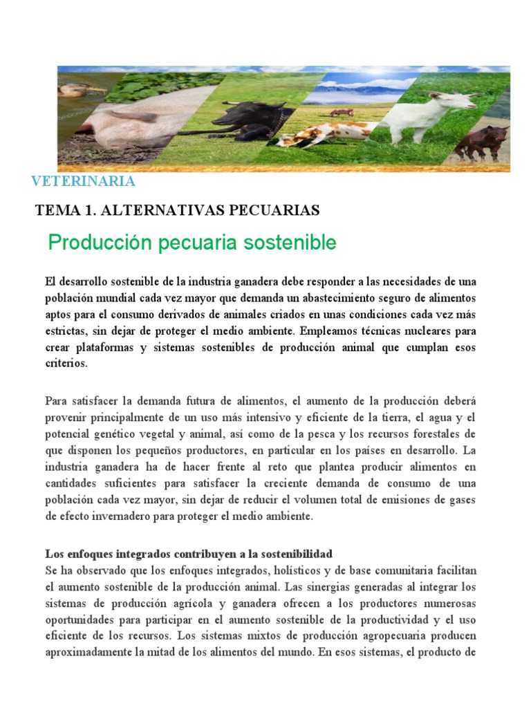 Producción Pecuaria Sostenible | PDF | Cerdo | Pescado