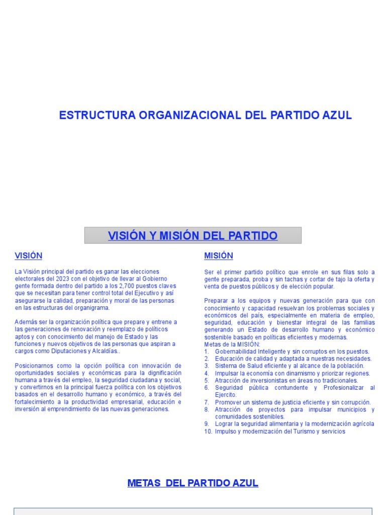 Estructura Organizacional Básica Del Partido Azul | PDF | Guatemala
