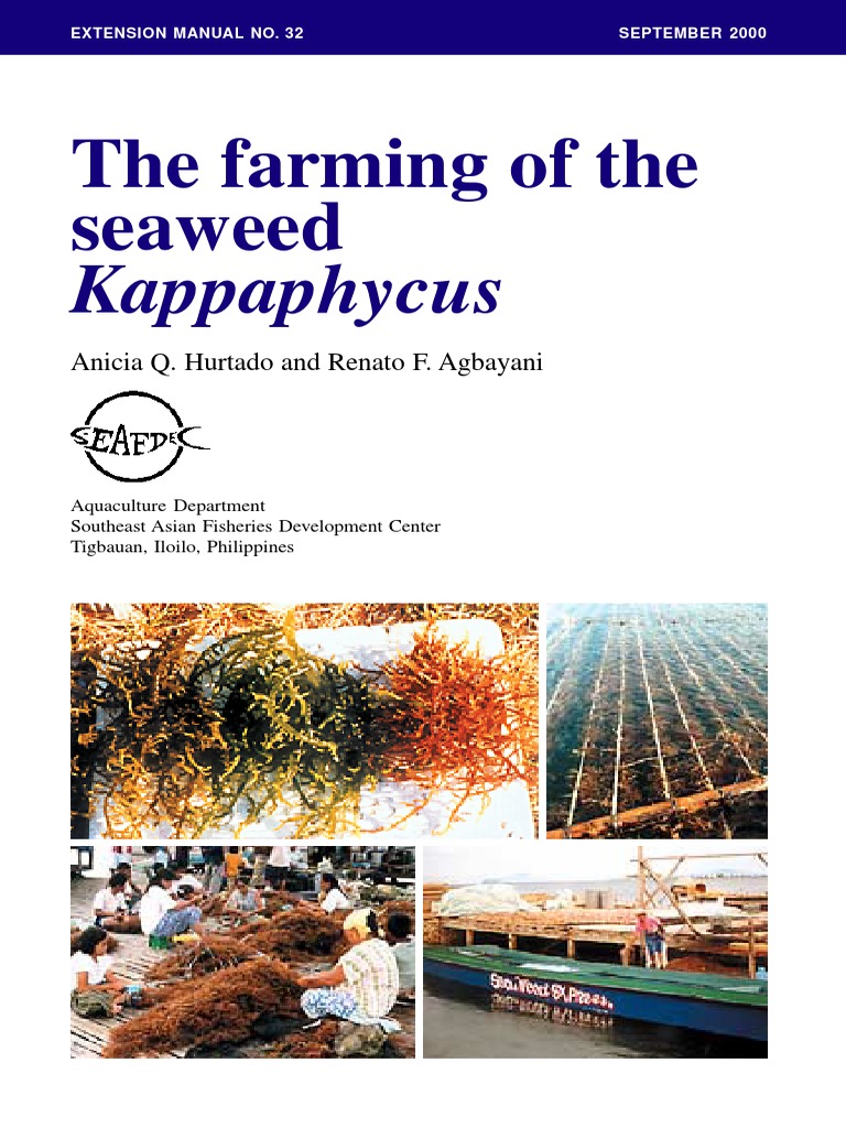 Kappaphycus | PDF | Seaweed | Agriculture