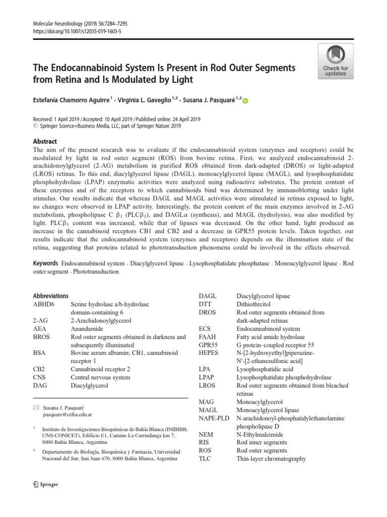 DECYSYM - Paper - The Endocannabinoid System Is Present in Rod Outer ...