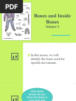 List of 206 Bones and Their Location | PDF | Skeleton | Knee