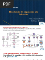 Polarización de Macrófagos M1 y M2 | PDF | Macrófago | Citocina