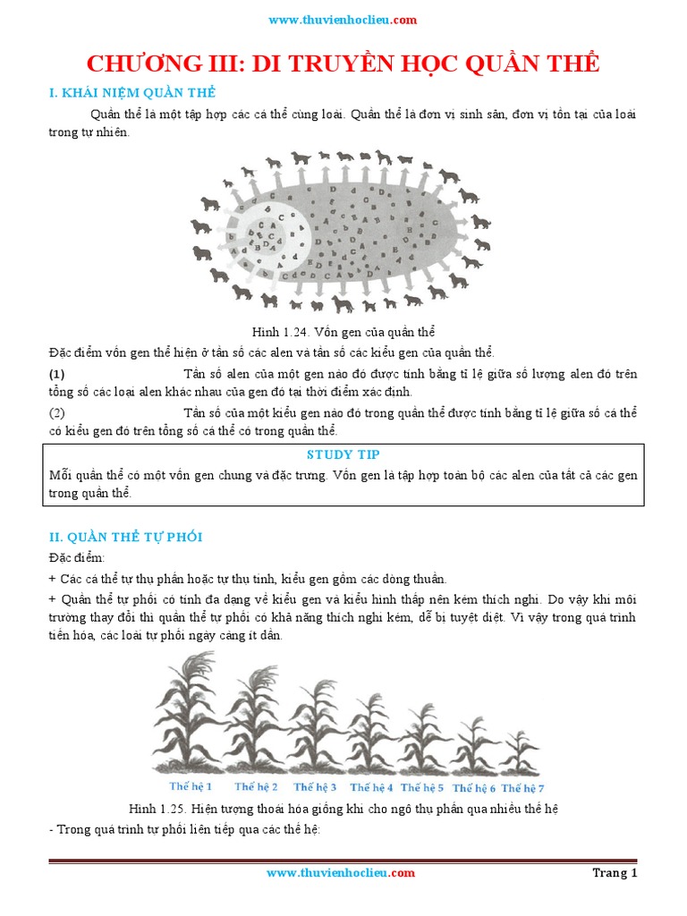 Bai Tap Chuong III Di Truyen Hoc Quan The Co Dap An | PDF