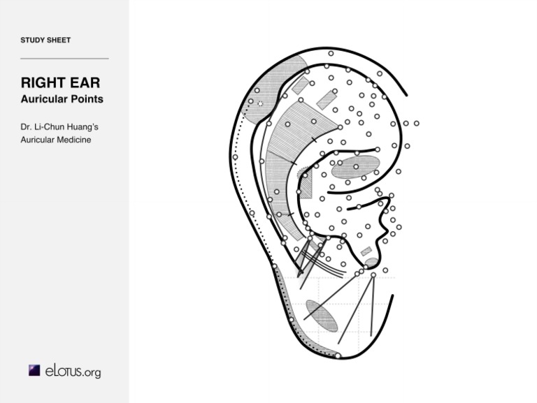 ELotus Studysheet LCH Auricular Points Right Ear | PDF