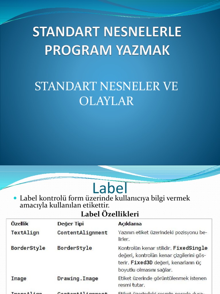 Görsel Programlama 5 | PDF