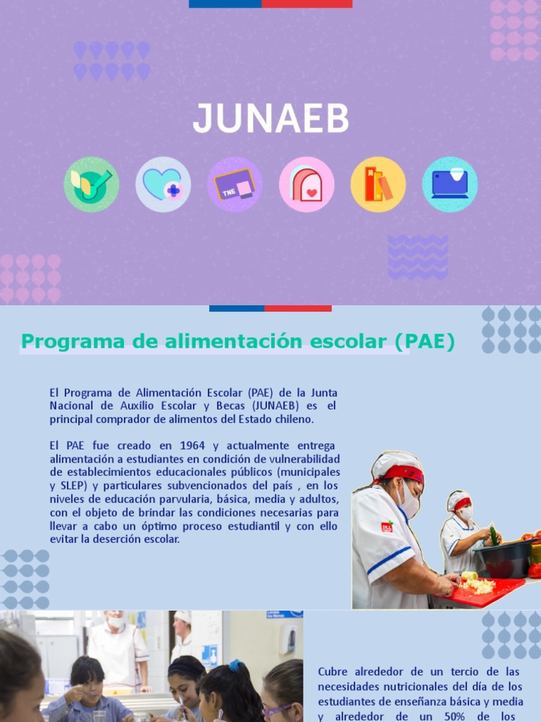 Pae Junaeb | PDF