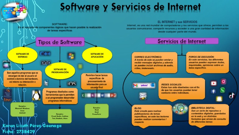 Tipos de Software y Servicios de Internet | PDF
