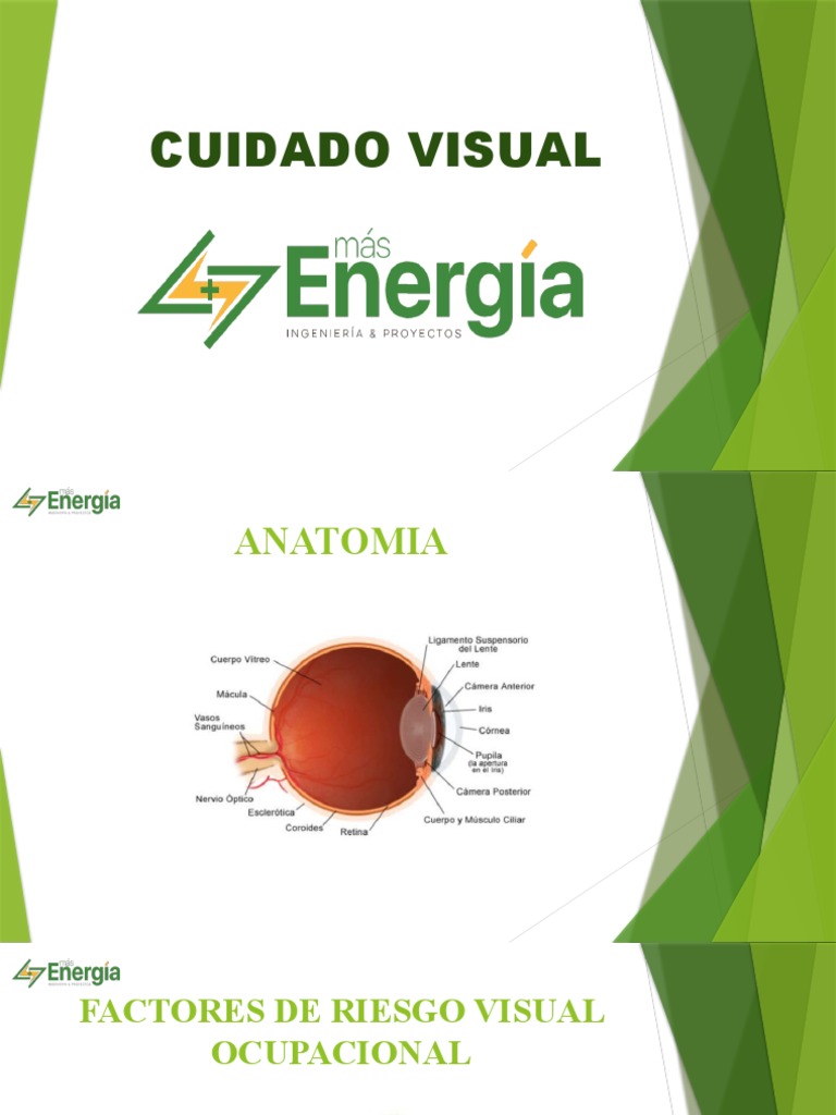 Capacitacion Cuidado Visual | PDF