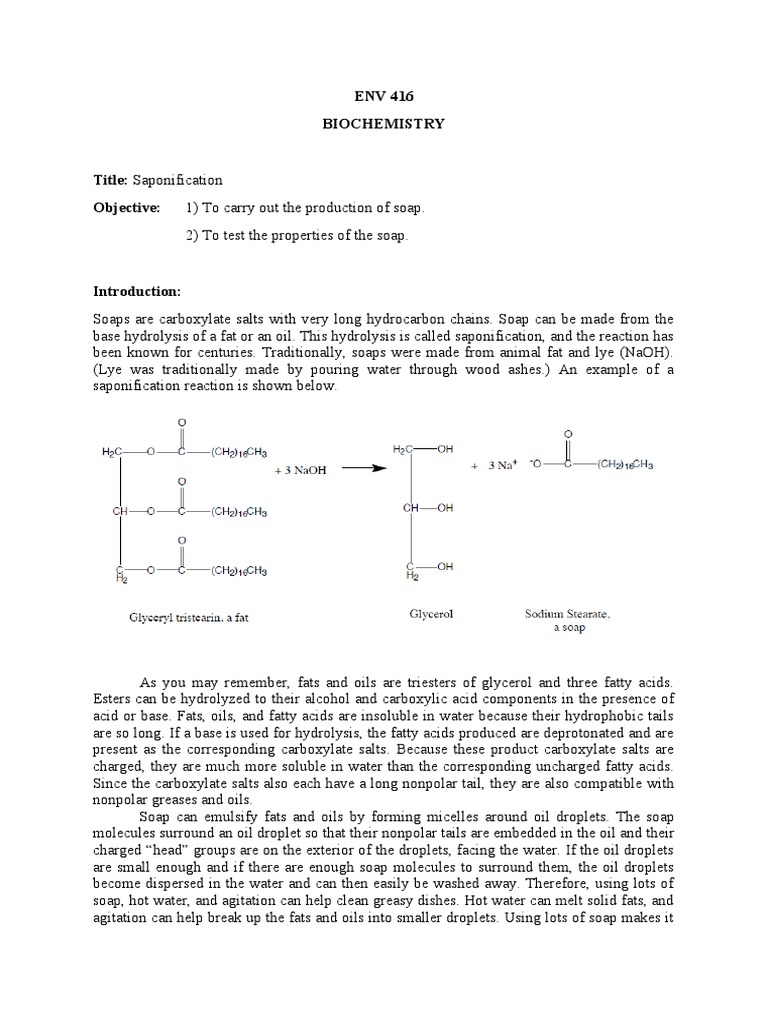 Experiment 5 | PDF | Soap | Sodium Hydroxide