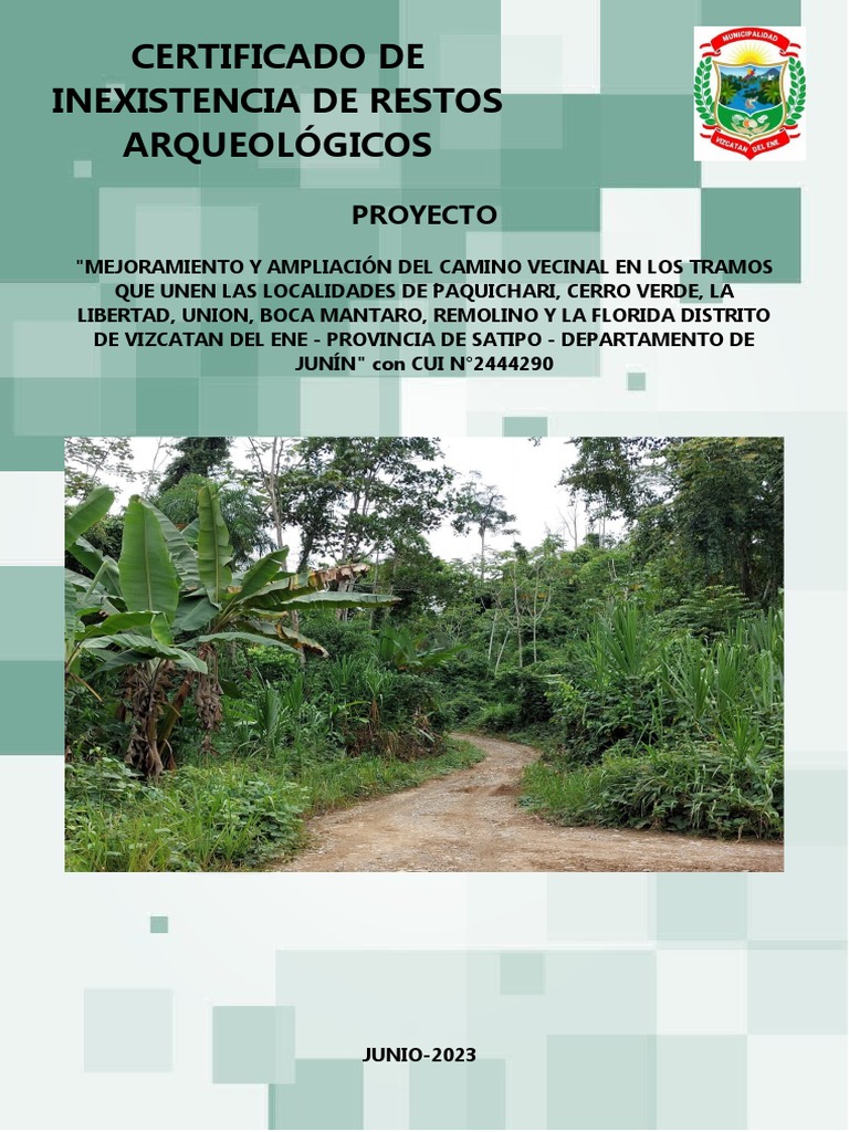 01 Informe | PDF | Datos geográficos e información | Geodesia