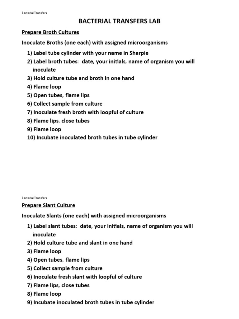 4-Bacterial Transfers Instruction Summary | PDF | Microbiology