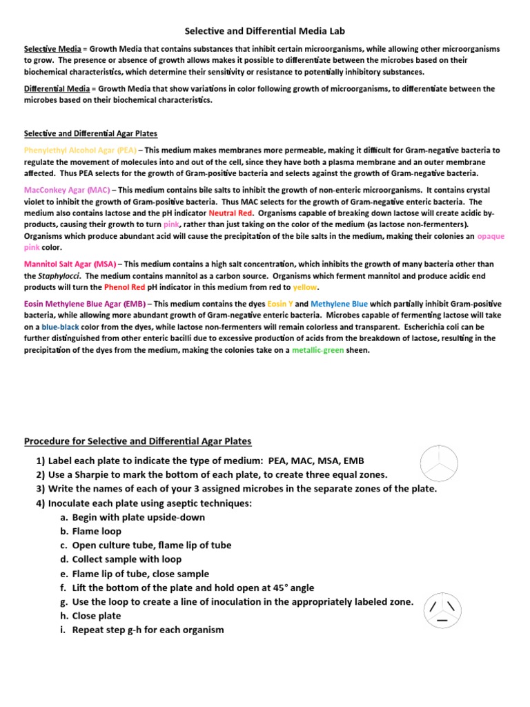 6-Selective and Differential Media Instruction Summary | PDF | Growth ...