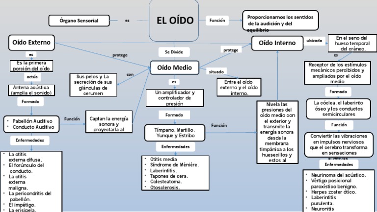 Mapa Conceptual Del Oido | PDF | Oído | Escuchando