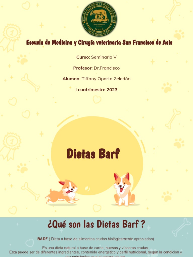 Presentación Dietas BARF | PDF | Dieta | Alimentos