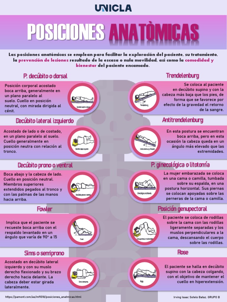 Infografia Posiciones Corporales | PDF | Términos anatómicos de ...