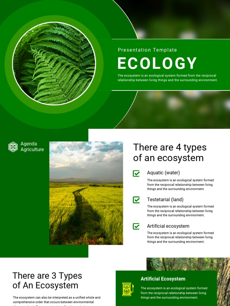 Green Modern Ecology Ecosystem Presentation | PDF | Ecosystem | Ecology