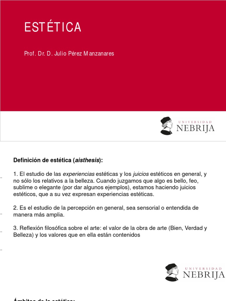 Tema 1-2. Introducción y Categorias de La Estética | PDF | Estética ...