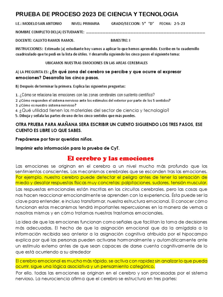Prueba de Proceso 2023 de Ciencia y Tecnologia | PDF | Las emociones | Cerebro