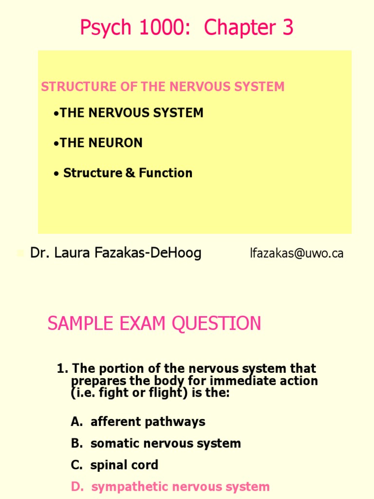 Chapter 3B | PDF | Neurotransmitter | Chemical Synapse