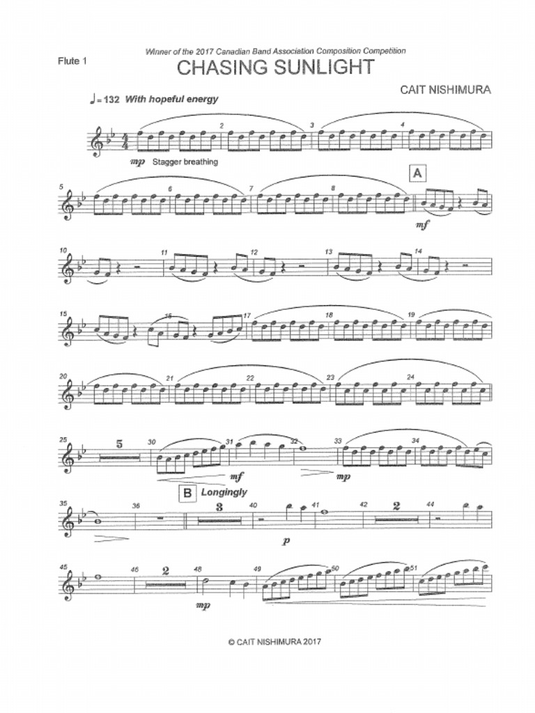 Chasing Sunlight 1 | PDF