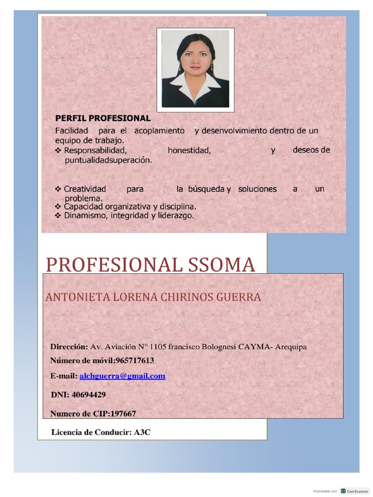 CV Lorena Chirinos Guerra | PDF