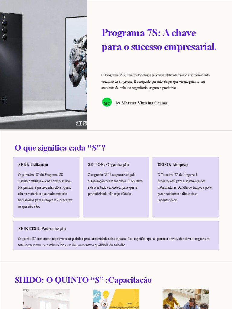 16 Programa-7S-A-chave-para-o-sucesso-empresarial | PDF | Desenvolvimento profissional | Business