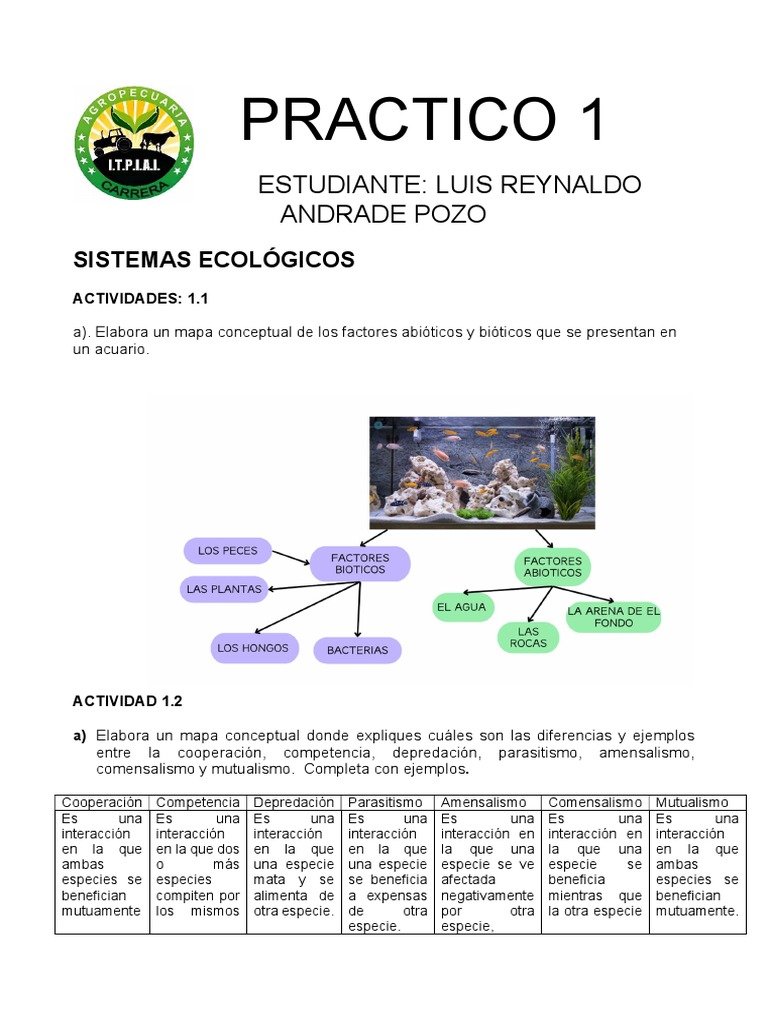 Actividad 1 Sistemas Ecologicos | PDF | Ecología | Ecosistema