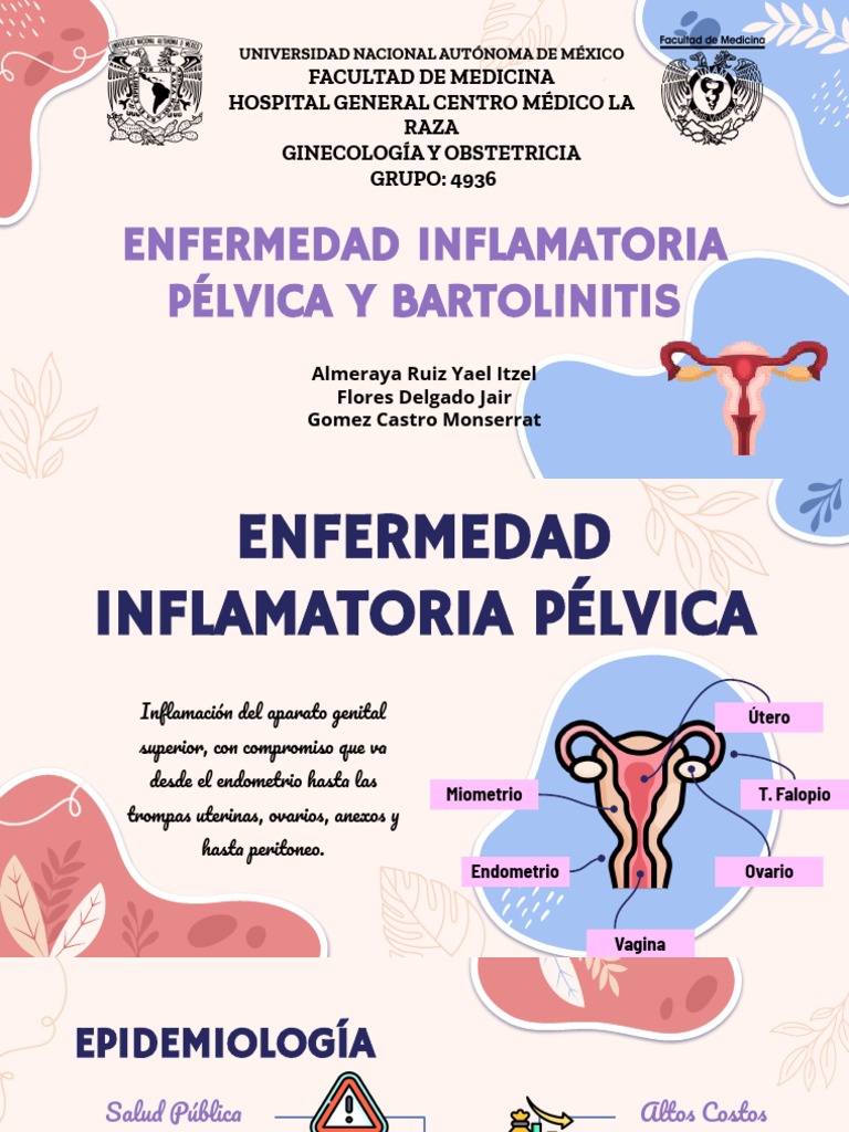 Equipo 2 - EIP y Bartolinitis | PDF | Vagina | Infección transmitida sexualmente