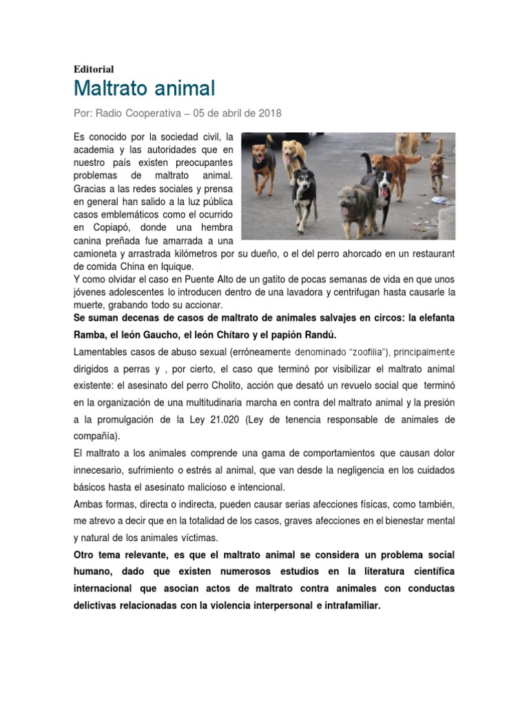 Editorial Maltrato Animal | PDF | Abuso infantil | Crueldad hacia los ...