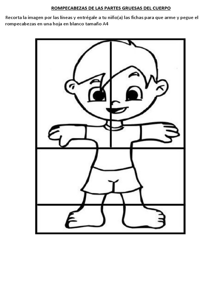 Rompecabezas De Las Partes Del Cuerpo Pdf