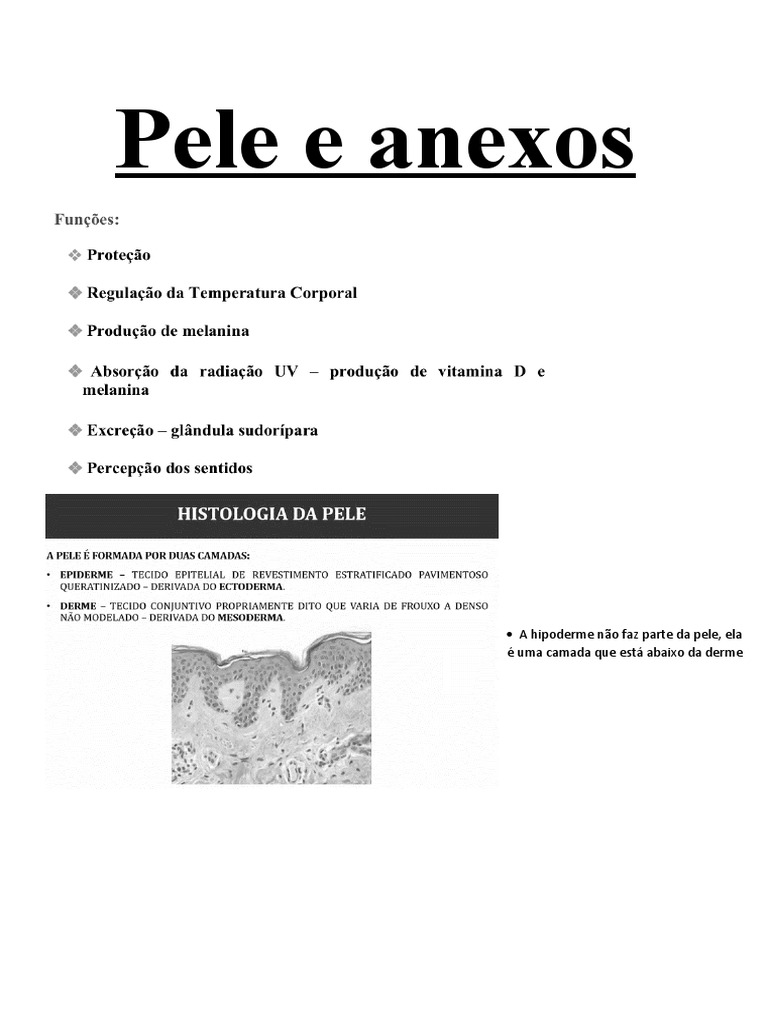 Pele E Anexos Pdf Pele Epiderme