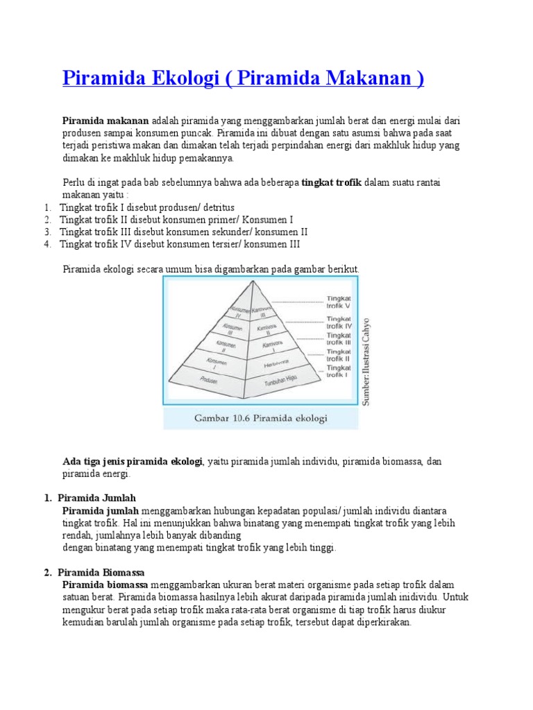 Piramida Makanan | PDF