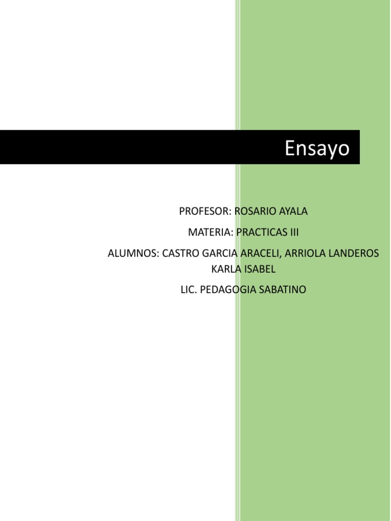 Ensayo de Chayo Examen | PDF | Evaluación | Metodología