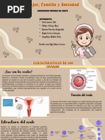 Dibujo del Óvulo y sus Partes | PDF