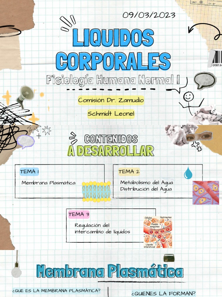 Liquidos Corporales - Fisio 1 | PDF | Biología Celular | Biofísica
