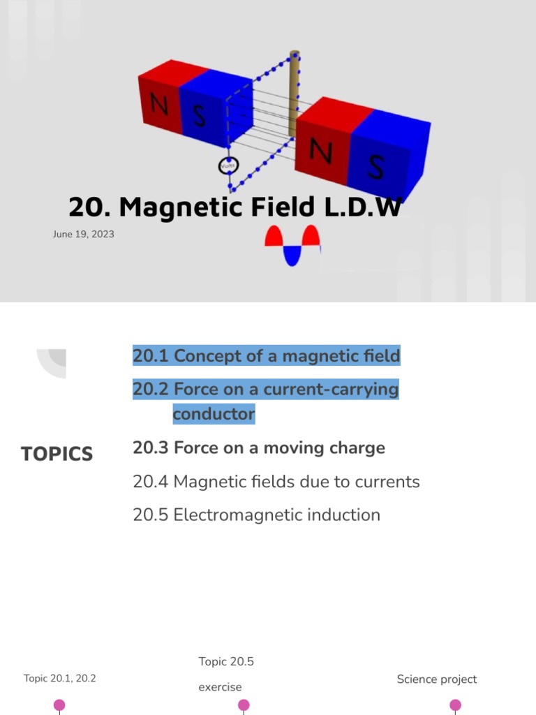 20 Magnetic Field Pdf Magnetic Field Force