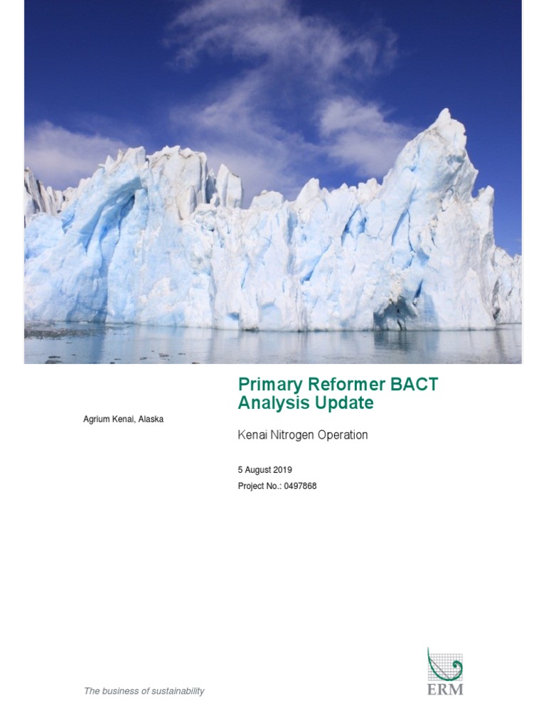 Primary Reformer Bact 8-9-19 | PDF | Combustion | N Ox