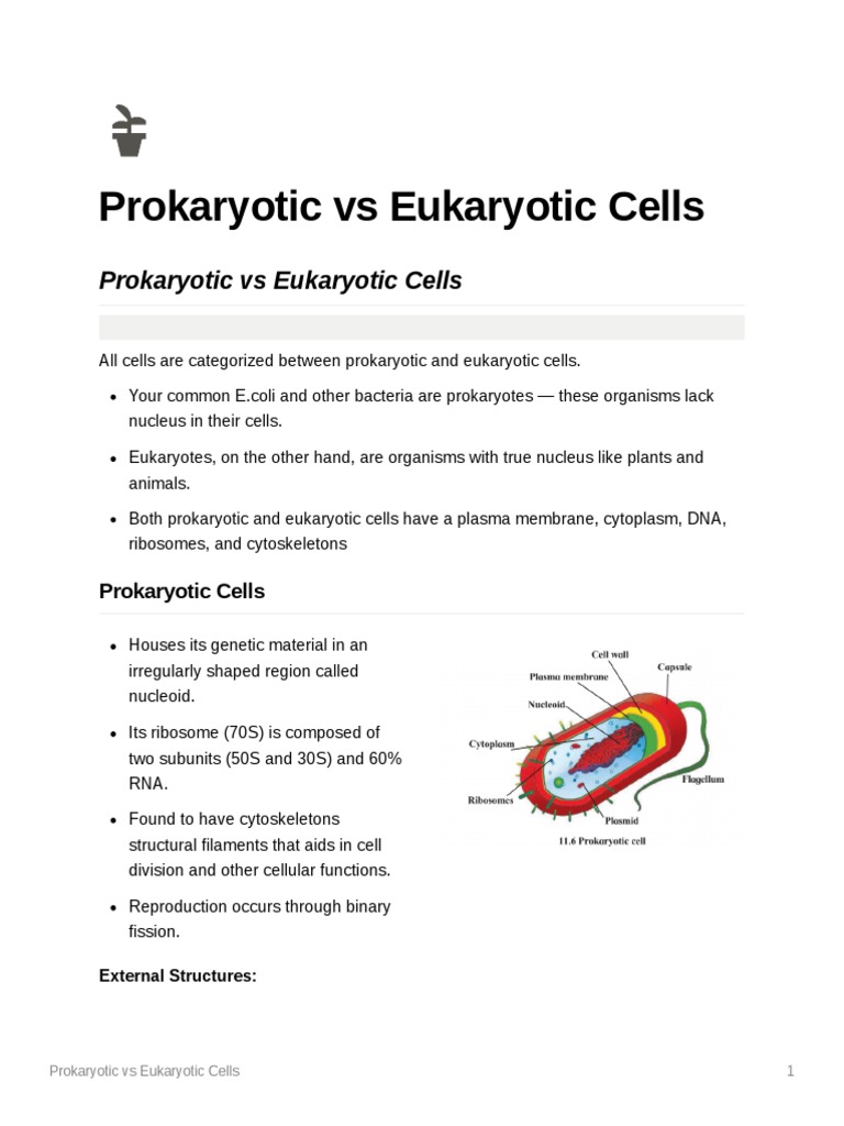 Prokaryotic vs Eukaryotic Cells Explained | PDF | Cell (Biology ...