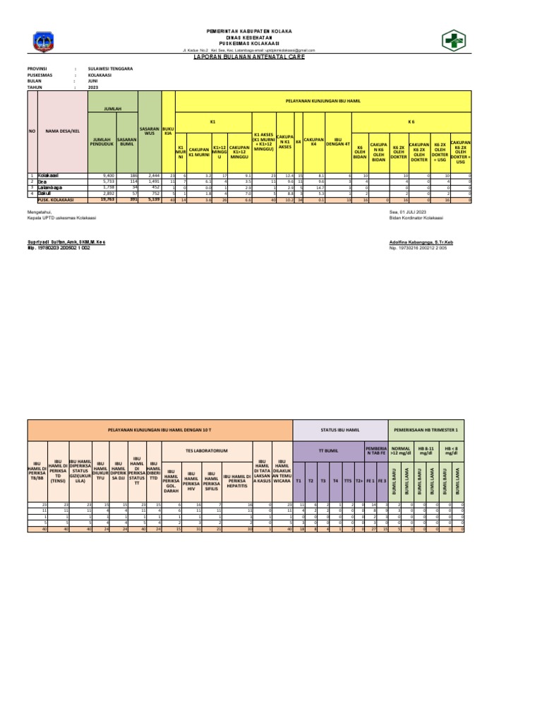 Format Matneo & Kelas Bumil PKM (KG01) - 2 | PDF