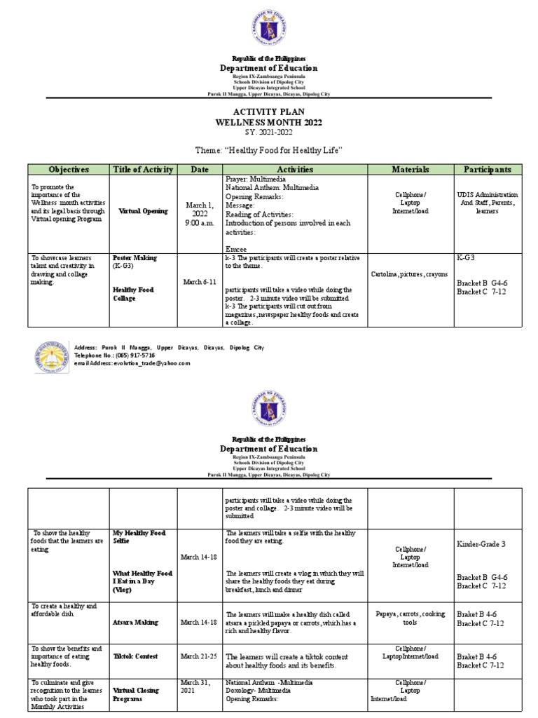 Wellness Activity Plan | PDF